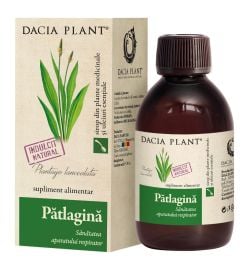 Patlagina sirop